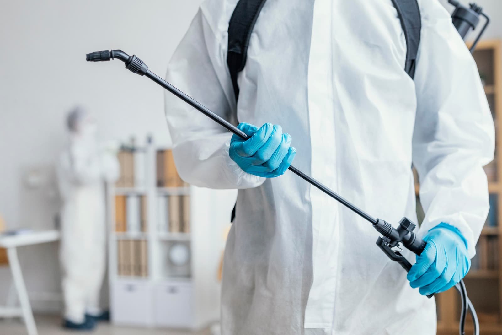 How to Get Rid of Mosquitoes: Expert Tips for a Mosquito-Free Home ...